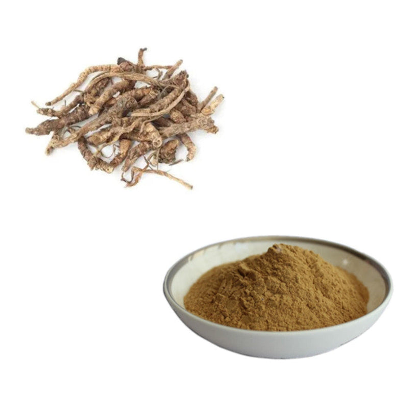 Namhya Katuka (Kutki) Powder (100g) - Liver Issues & Weight Loss – NAMHYA