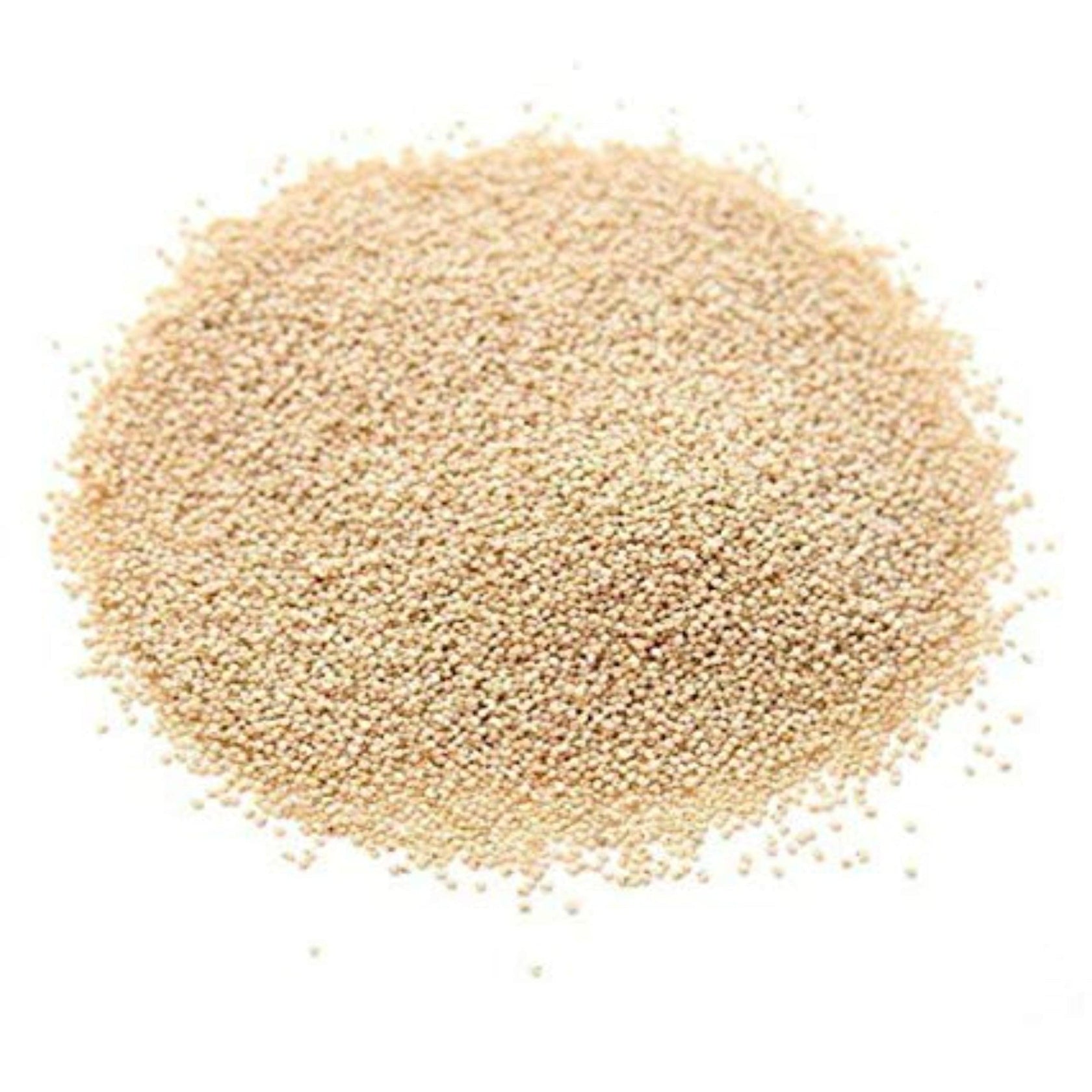 Buy Poppy Seeds at Best Price in India | NAMHYA